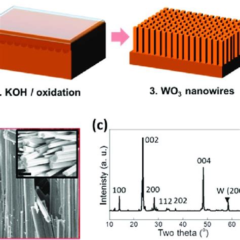 Schematic Illustration For One Body Array Of Coreshell Nanowire Download Scientific Diagram