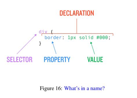 Css And Layout Xolotlp