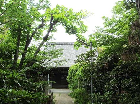 真照寺横浜市都筑区折本町にある真宗大谷派寺院