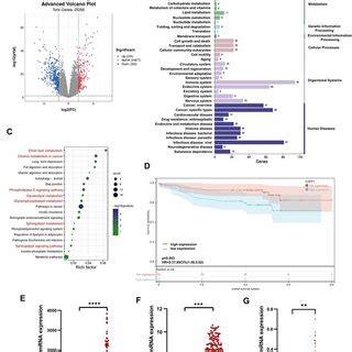 Combined Transcriptome And Metabolome Data Analysis Revealed Abnormal Download Scientific