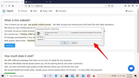 How To Set A Proxy On Mozilla Firefox Browser Litport Net