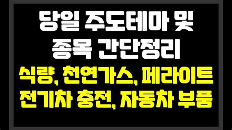 당일 장중 주도테마 및 종목 간단정리 식량전기차충전자동차부품천연가스페라이트 지에스이kbg덕양산업에스피시스템스한일사료레인보우로보틱스유라테크