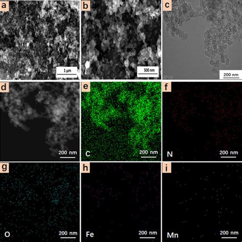 sem image a b tem image c d and stem eds elemental mapping