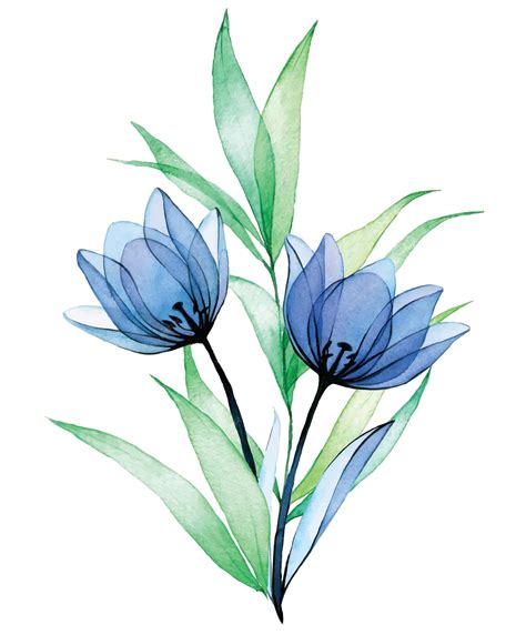 Blue Flower Drawing