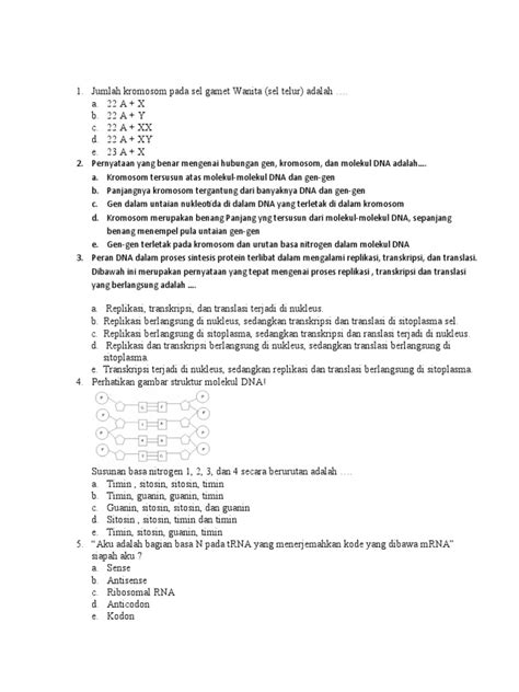 Soal Biologi Smstr 1 Kelas 12 Pdf