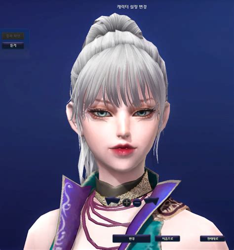 60 신규 헤어 아이온 Ncsoft