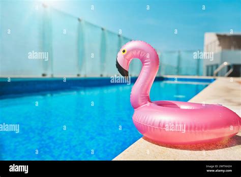 Pink Pool Float Flamingo By Blue Water Inflatable Swimming Ring Summer Vacation Holiday