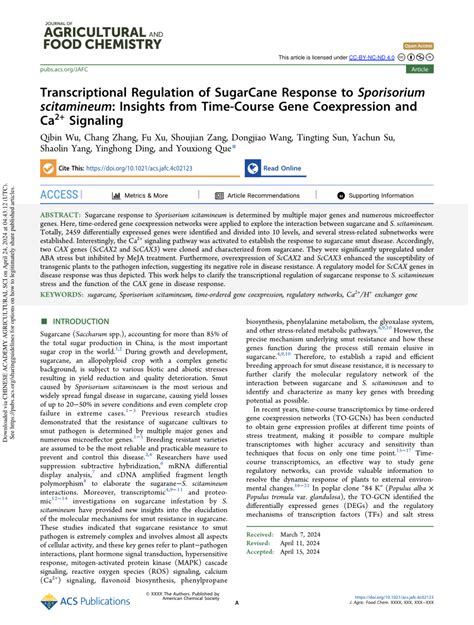 Pdf Transcriptional Regulation Of Sugarcane Response To Sporisorium