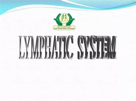 Ppt Lymphatic System Powerpoint Presentation Free Download Id9588862