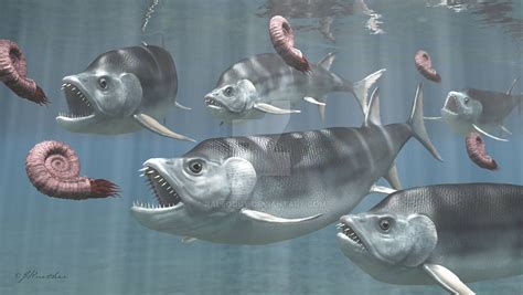 Xiphactinus By Paleoguy On Deviantart