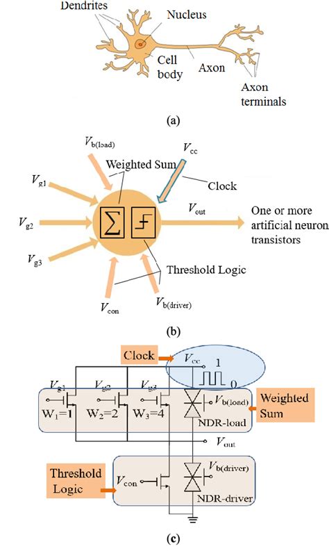 Figure 1 From Silicon Neuron Transistor Based On Cmos Negative Differential Resistance Ndr