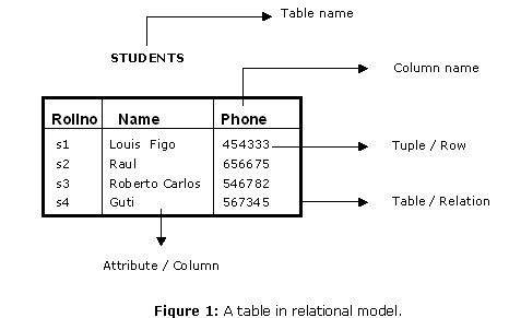 SQL PL SQL Relational Database Management System RDBMS