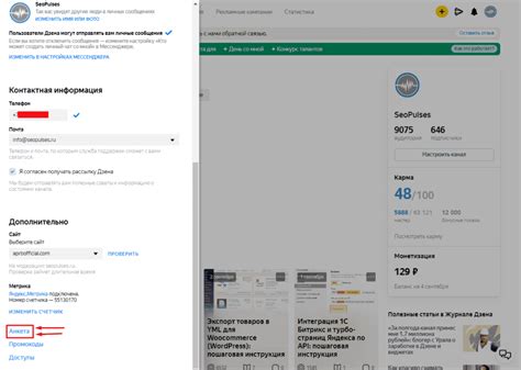 Как дать права к каналу в Яндекс Дзен пошаговая инструкция Seopulses Дзен