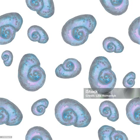 Nana Donovani 바다 바다 껍질 완벽 한 패턴 수채화 그림은 섬유 식기 엽서에 인쇄하기 위한 흰색 배경 베이스에 고립되어 있습니다 Unmanned