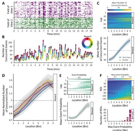 Nature丨星形胶质细胞也能编码位置信息？科学家解码海马星胶在奖赏位置行为中的作用 脑医汇