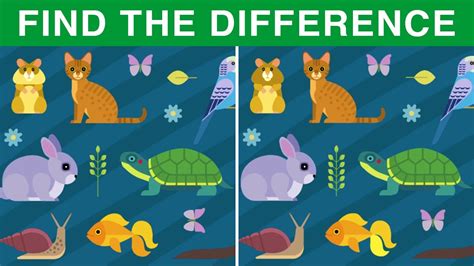 Find The Difference Challenge 184 Youtube