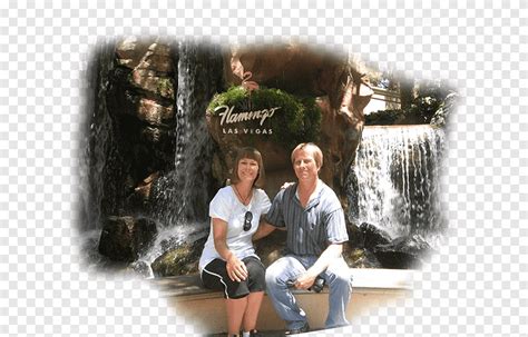 Water Feature Tree Vacation Tourism Tree Cascading Style Sheets