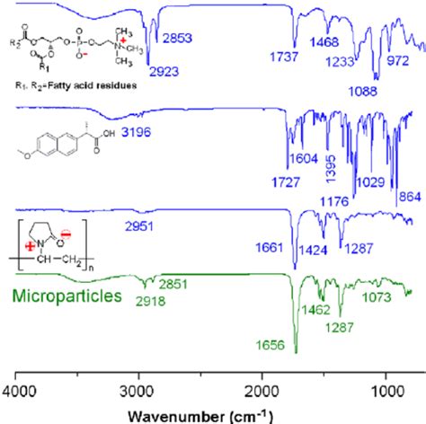 X Ray Diffraction Patterns Download Scientific Diagram