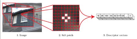 Descriptor Extraction Download Scientific Diagram