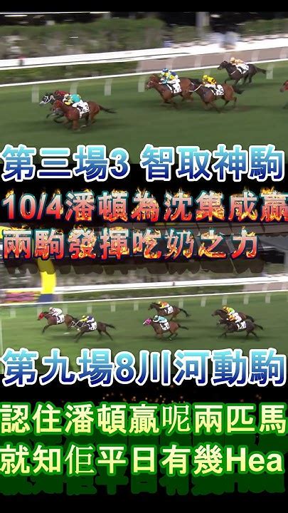 當沈集成贏浪漫勇士後讚過潘頓出晒奶力104潘頓出盡奶力贏沈廐兩駒就知佢平日幾hea 潘頓 浪漫勇士 沈集成 Youtube