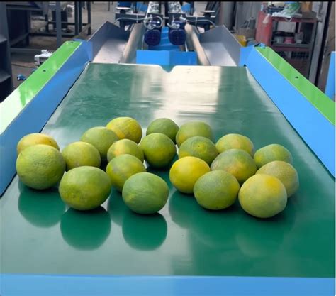 Orange Automatic Mosambi Size Sorting Machine Capacity Kg 10
