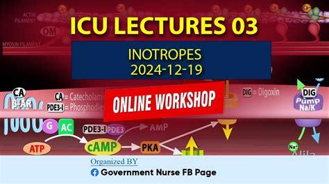 Government Nurse Icu Lectures 03 Inotropes 2024 12 19 Youtube