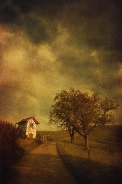 Easy Tutorials On How To Paint A Tree Trunk