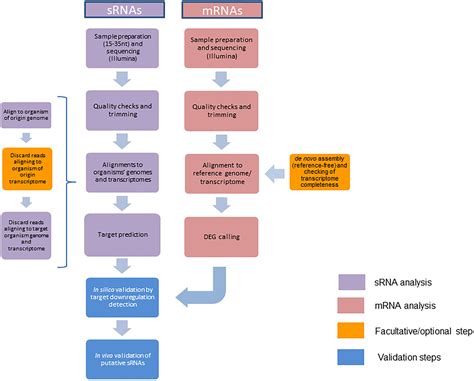Fungal Genome Analysis Pipeline Lasopadr