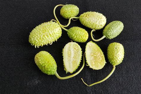 Round Cucumber Varieties Their Features And Care Guides