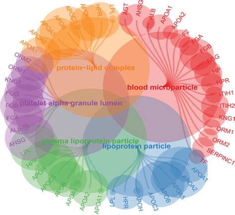 A The Gsva Analysis Based On The Kegg Terms B The Gsva Analysis