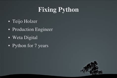 Teijo Holzer Fixing Python Speaker Deck