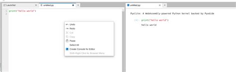 Side By Side Mode Contiguous Code Window With All Plots And Text In