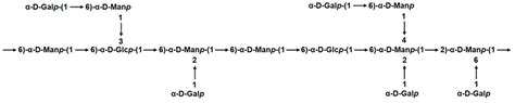 A Neutral Polysaccharide From Spores Of Ophiocordyceps Gracilis Regulates Oxidative Stress Via