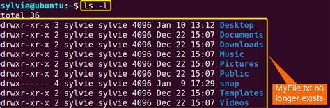 3 Ways To Remove Write Protected Regular File Using Rm Command