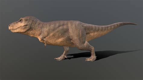T Rex D Model By Pxltiger E A Sketchfab My Xxx Hot Girl