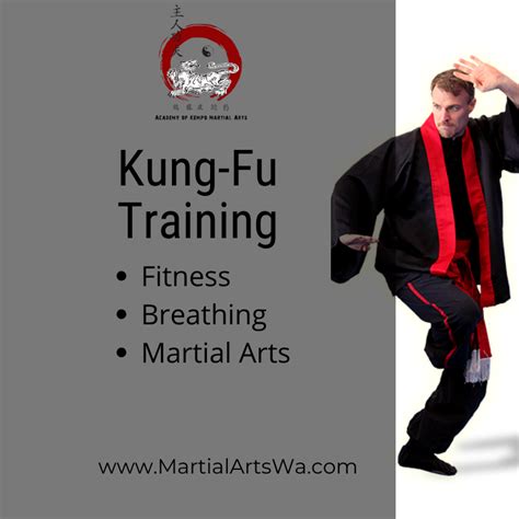 Top 5 Kung Fu Styles For Beginners A Guide To Starting Your Journey