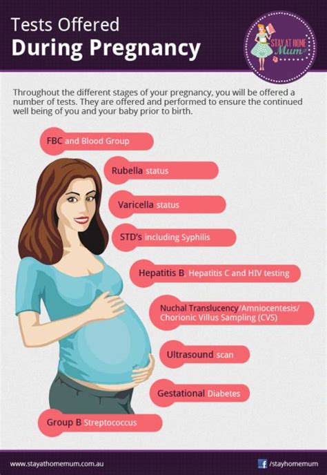 Tests Offered During Pregnancy Stay At Home Mum