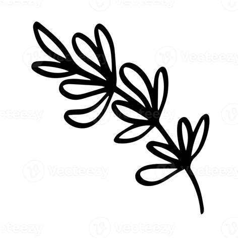 Lavender Hand Drawn Illustration 15151889 Png