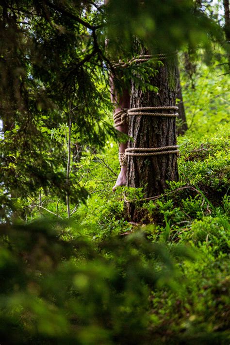 Treetied 17 By Truetiedtales On Deviantart