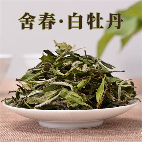 滑竹梁子白牡丹 滑竹梁子白茶 滑竹梁子 大山谷图库