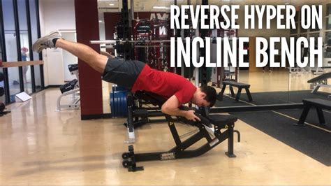 Reverse Hyperextension Machine Alternative