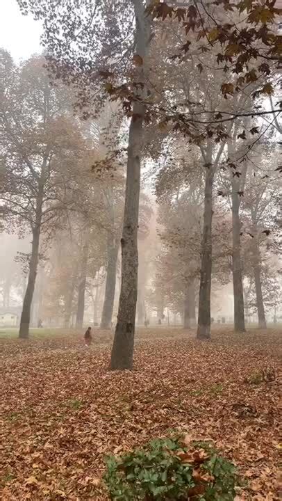 Shahid Bashir On Linkedin Center Of Emotions Kashmir Sociology