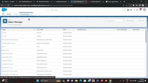 Work With Schema Builder Data Modeling Trailmix 1 Fundamentals Of Salesforce Youtube