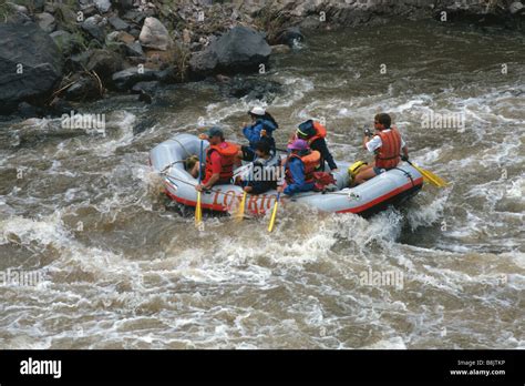 White Water Rafting On The Racecourse Section Of The Rio Grande River