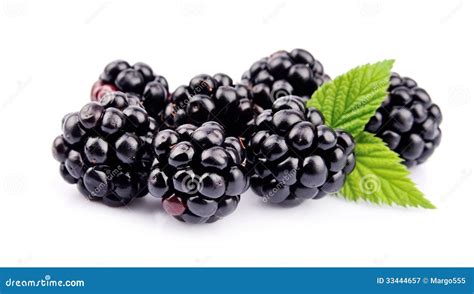 Fruta De Blackberry Imagen De Archivo Imagen De Dulce 33444657