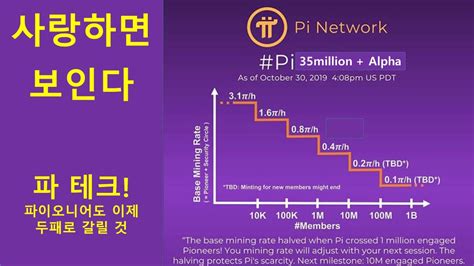 {파이네트워크} 이제 시험대에 올라설 시간 Youtube