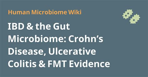 Ibd Inflammatory Bowel Disease And The Microbiome Human Microbiome Wiki