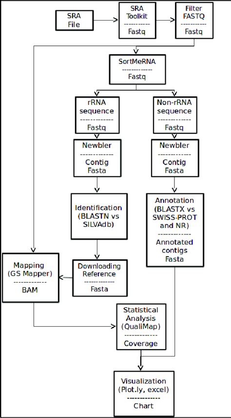 Metagenomics Workflow Analysis Of Endophytic Bacteria From Oil Palm Fruits Download Scientific