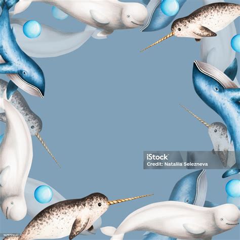 벨루가 푸른 고래 일각고래가 흰색 배경에 격리된 수채화 프레임 손으로 그림 현실적인 북극과 남극 해양 포유류 디자이너 장식 엽서 포장지 스크랩북 표지 로고 초대장 포스터 및