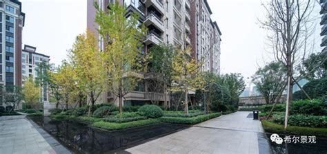 创意景观消防登高面的华丽转身 土木在线